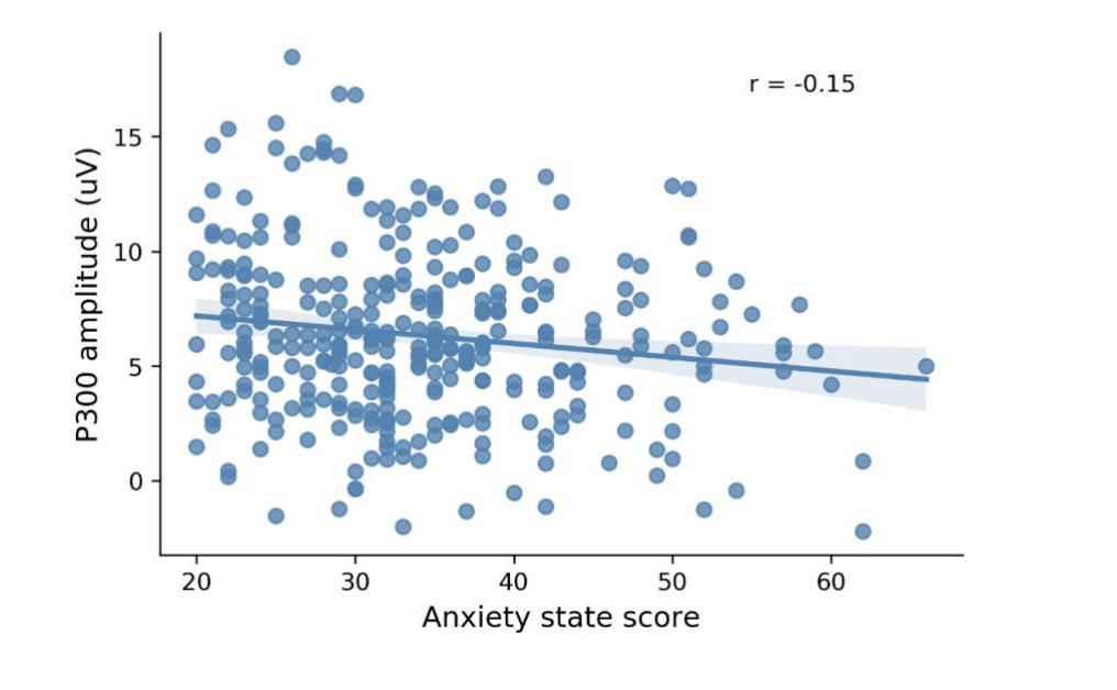 Decision making under chronic stress and anxiety: State and trait ...